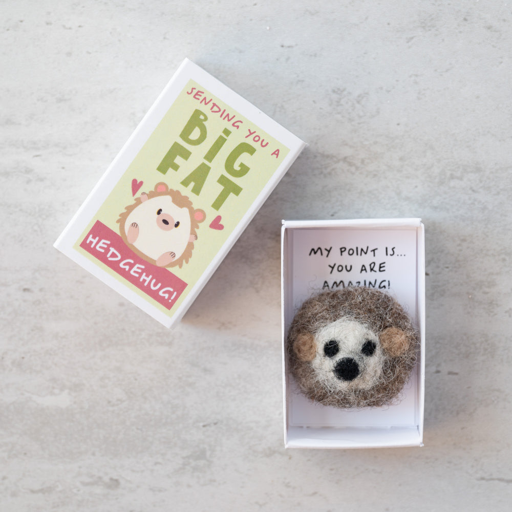 Sending You A 'Hedgehug' In A Matchbox | Marvling Bros